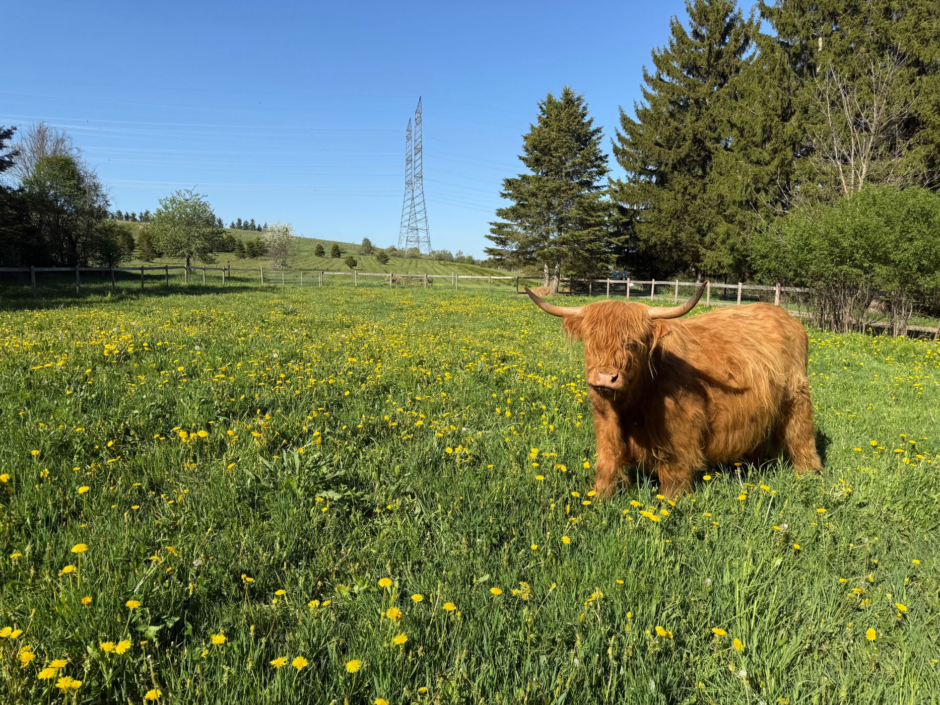 All Experiences in Erin, Ontario | Erin Hill Acres