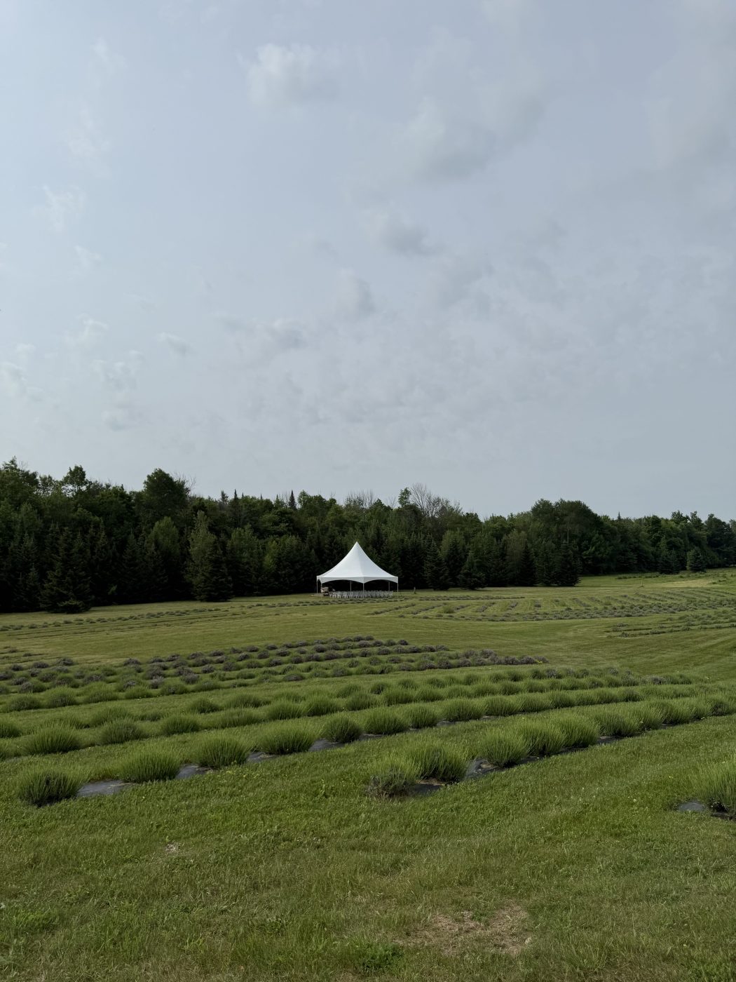 History of the Farm in Erin, Ontario | Erin Hill Acres