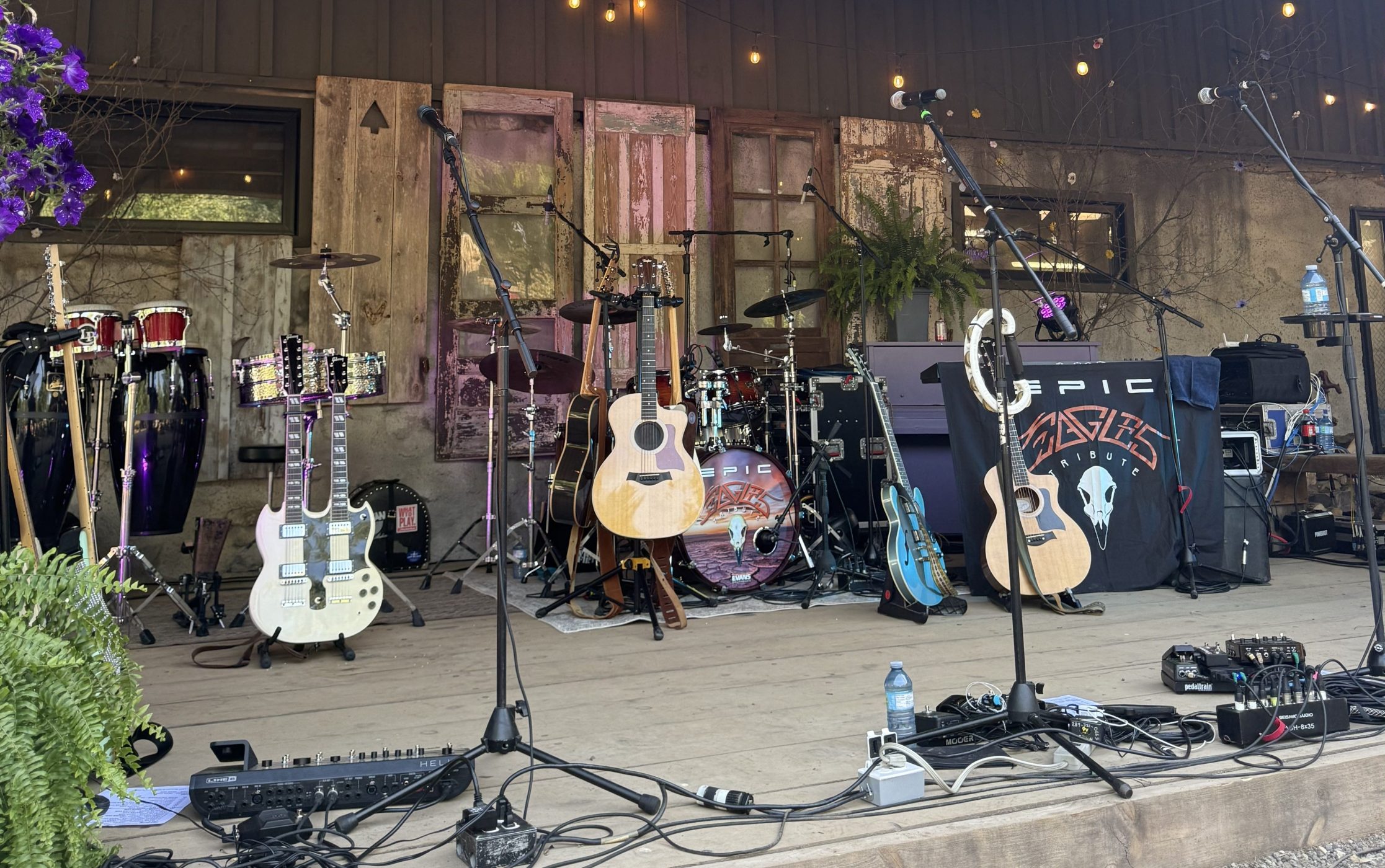 Live at the Farm: Epic Eagles | Erin Hill Acres