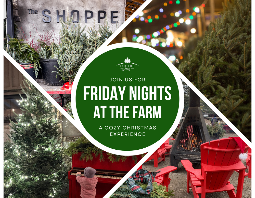 Friday Nights at the Farm - A Cozy Christmas Experience | Erin Hill Acres